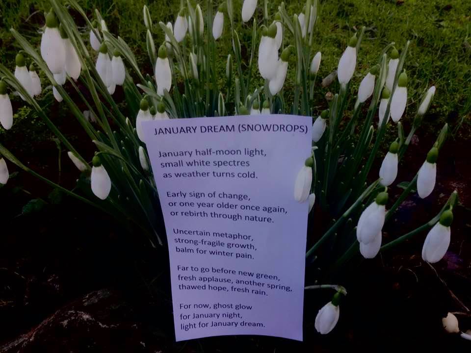 Snowdrops, A Poem and A Crocus | mybeautfulthings