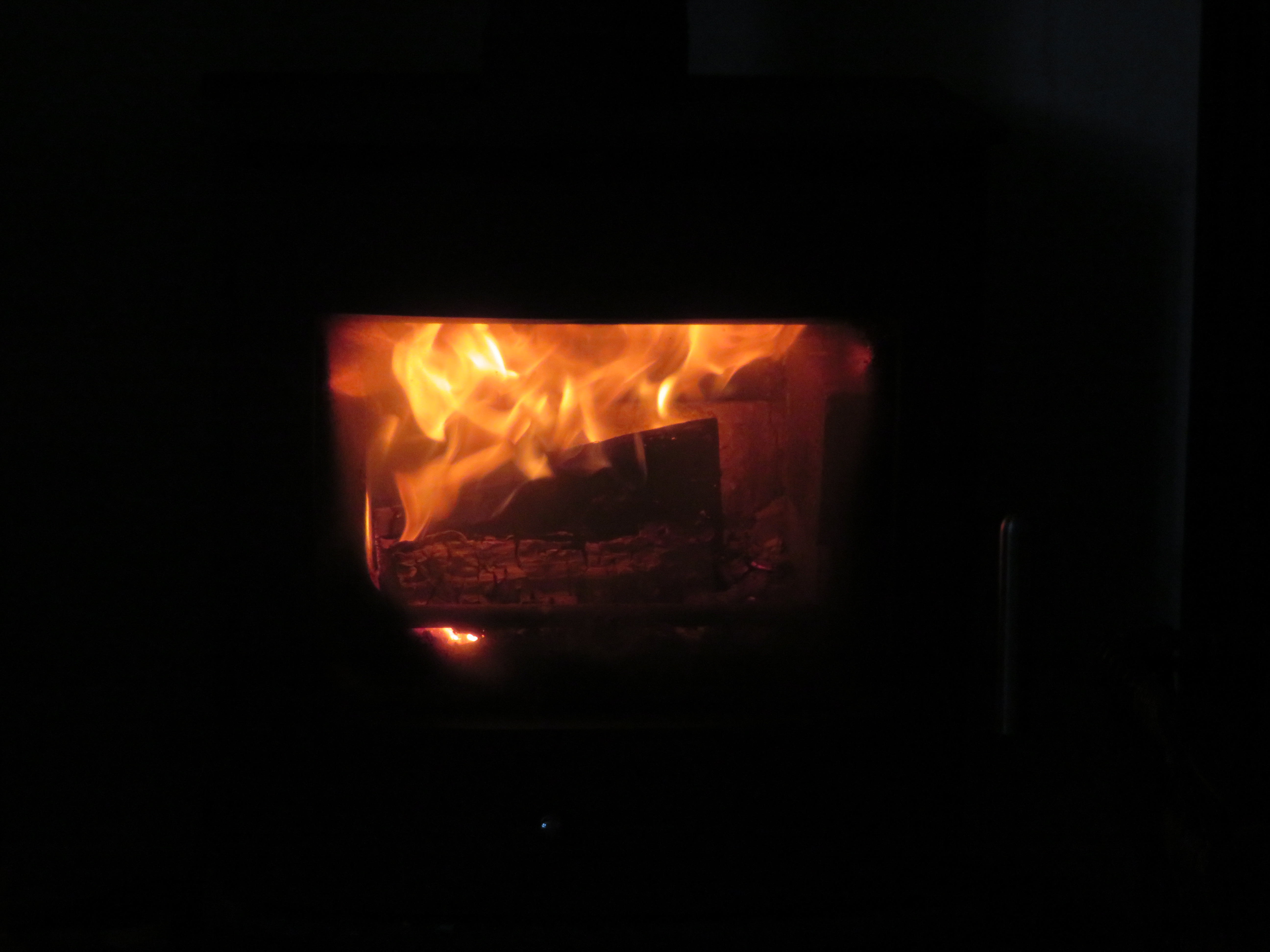 Fire, Fresh Veg and A Cake | mybeautfulthings