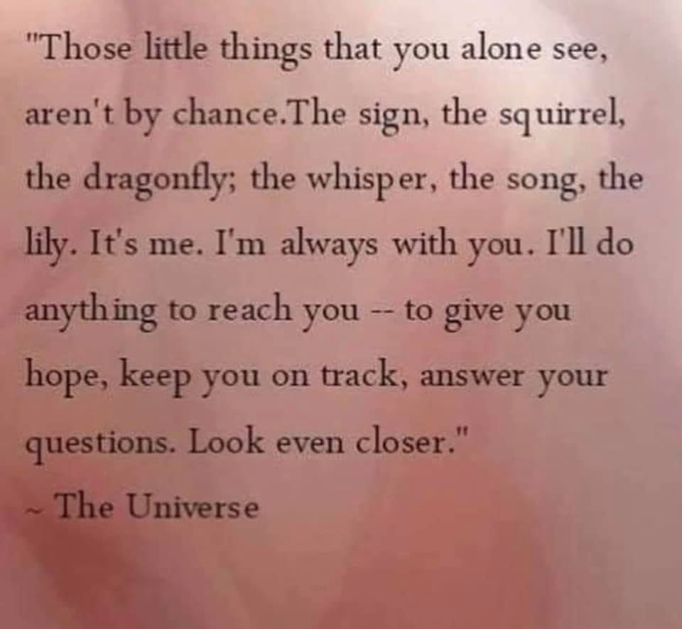 Noticing the little things…… | mybeautfulthings