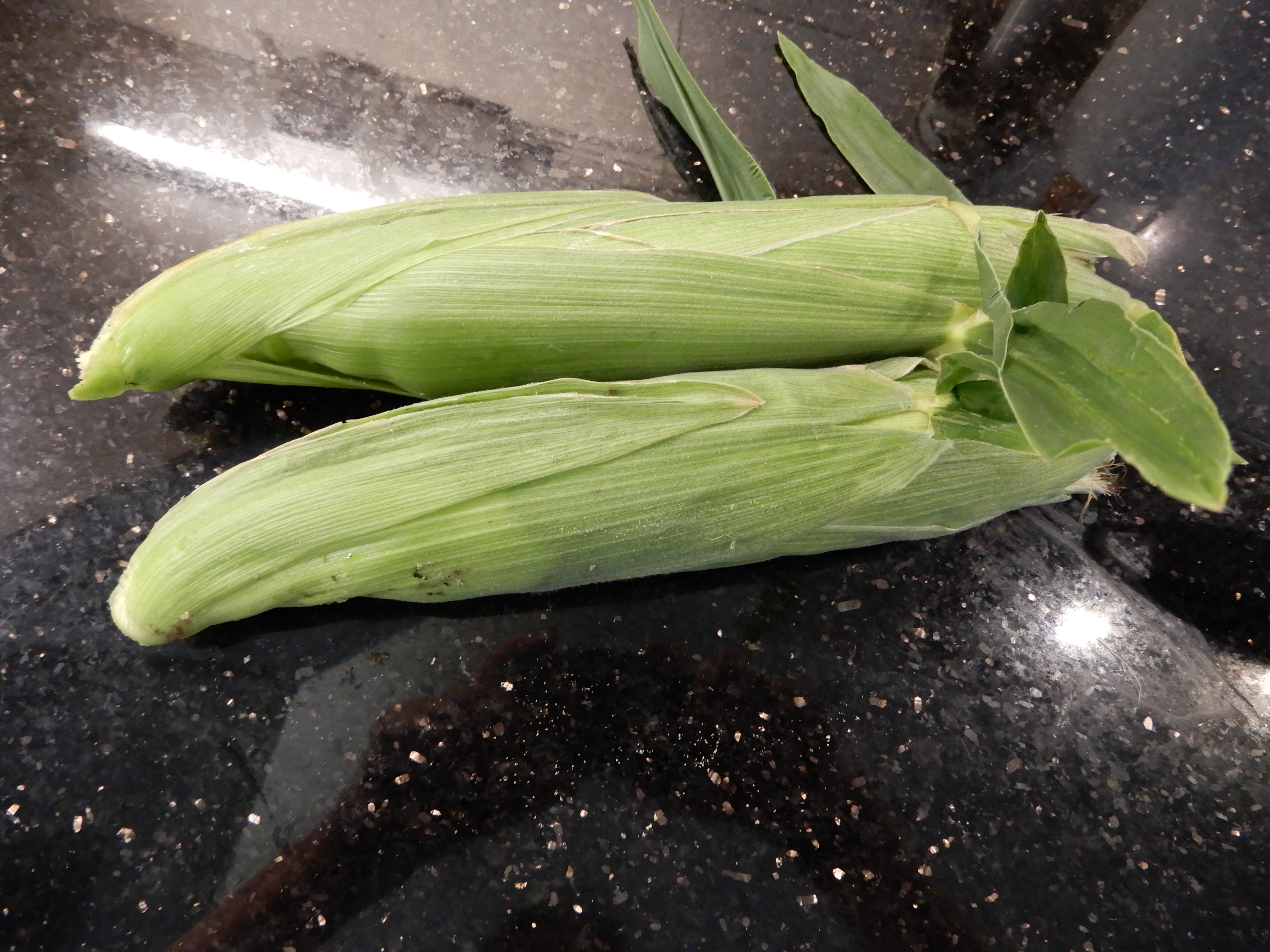 DSCN0489 | mybeautfulthings