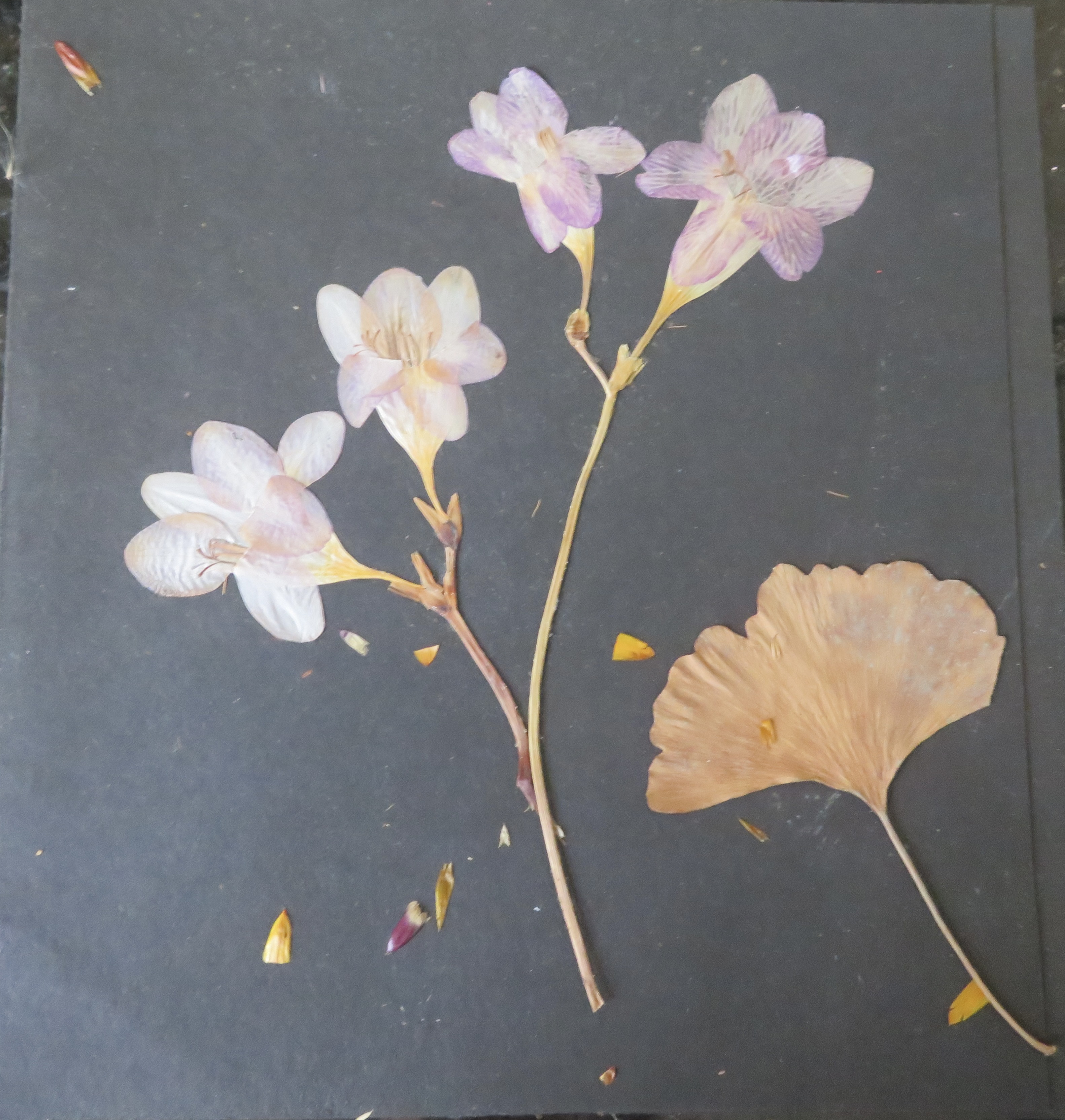 Flowers, Ferns and More Flowers | mybeautfulthings